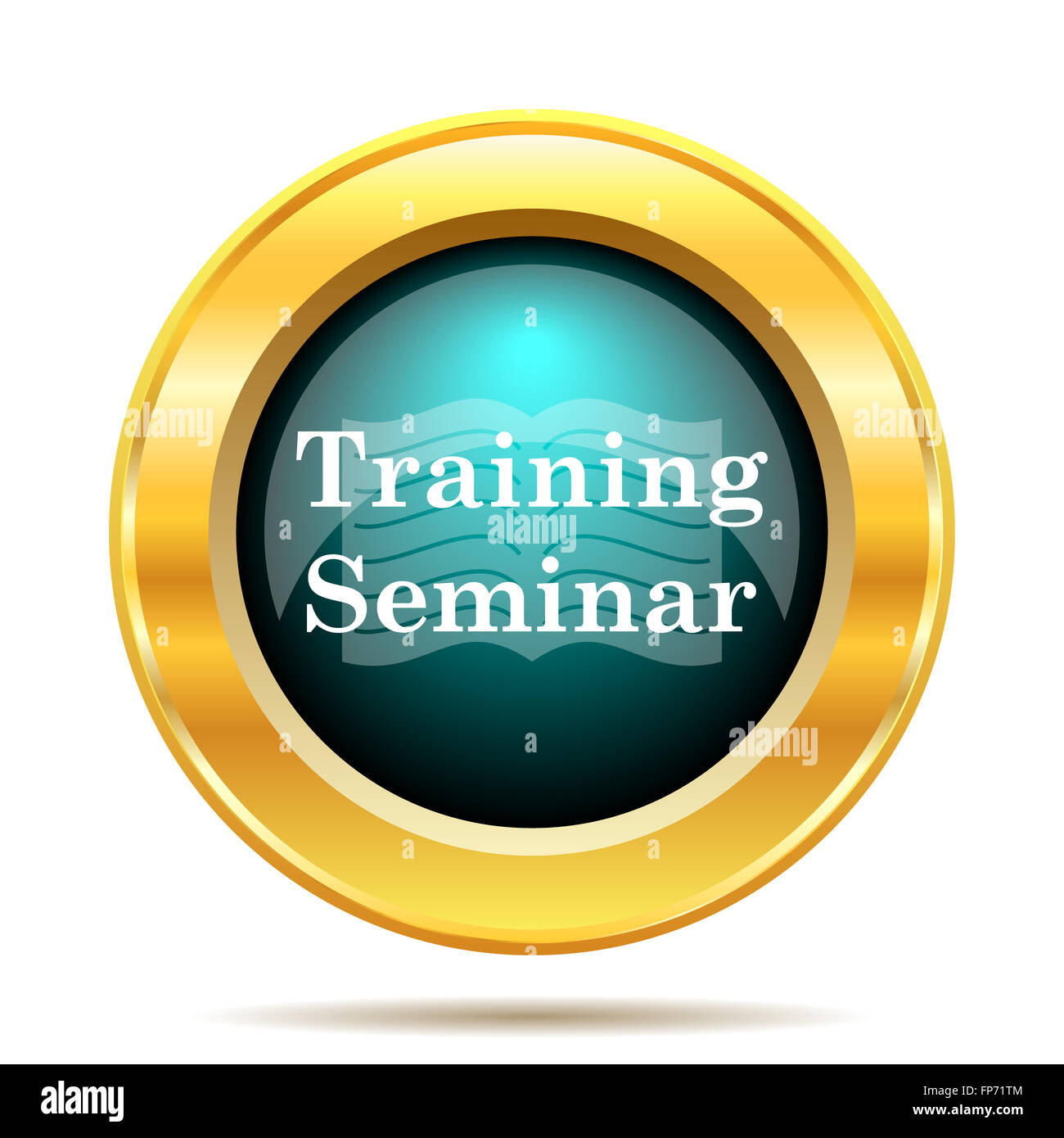Training seminar icon. Internet button on white background Stock Photo ...