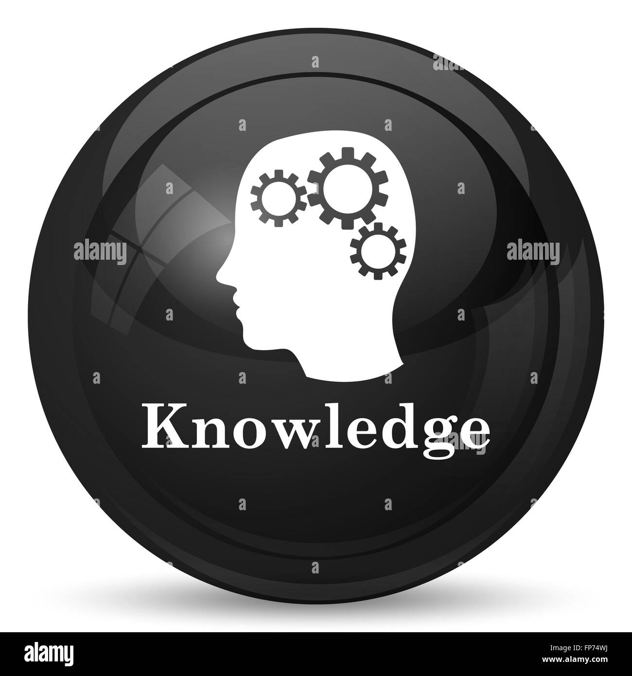 Knowledge icon. Internet button on white background Stock Photo - Alamy