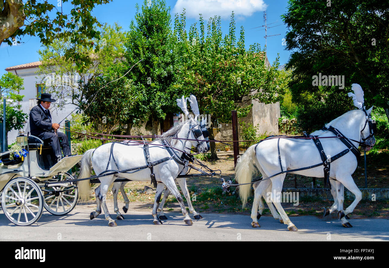 Capaccio, Italy - August 15, 2014: A traditional carriage driven by a ...
