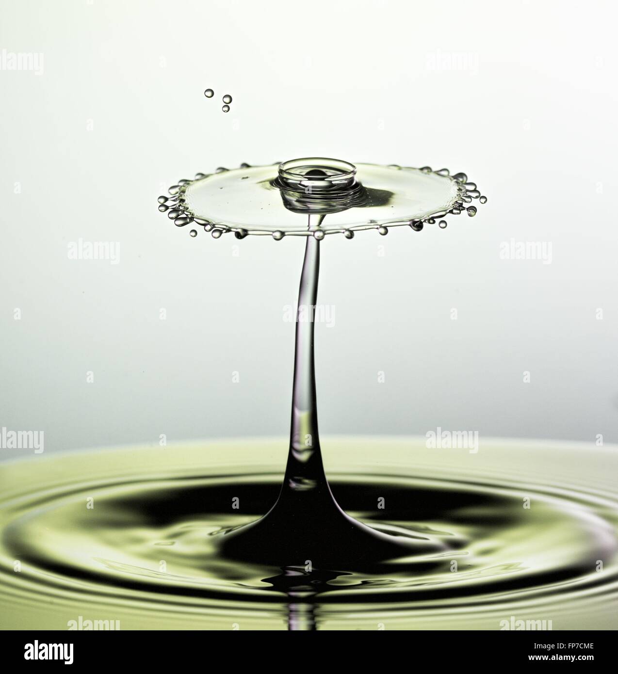 High speed flash liquid photograph. A water drop has collided with the ...