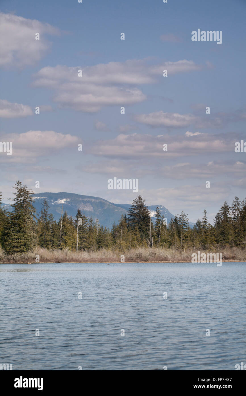 Vancouver island mountains hi-res stock photography and images - Alamy