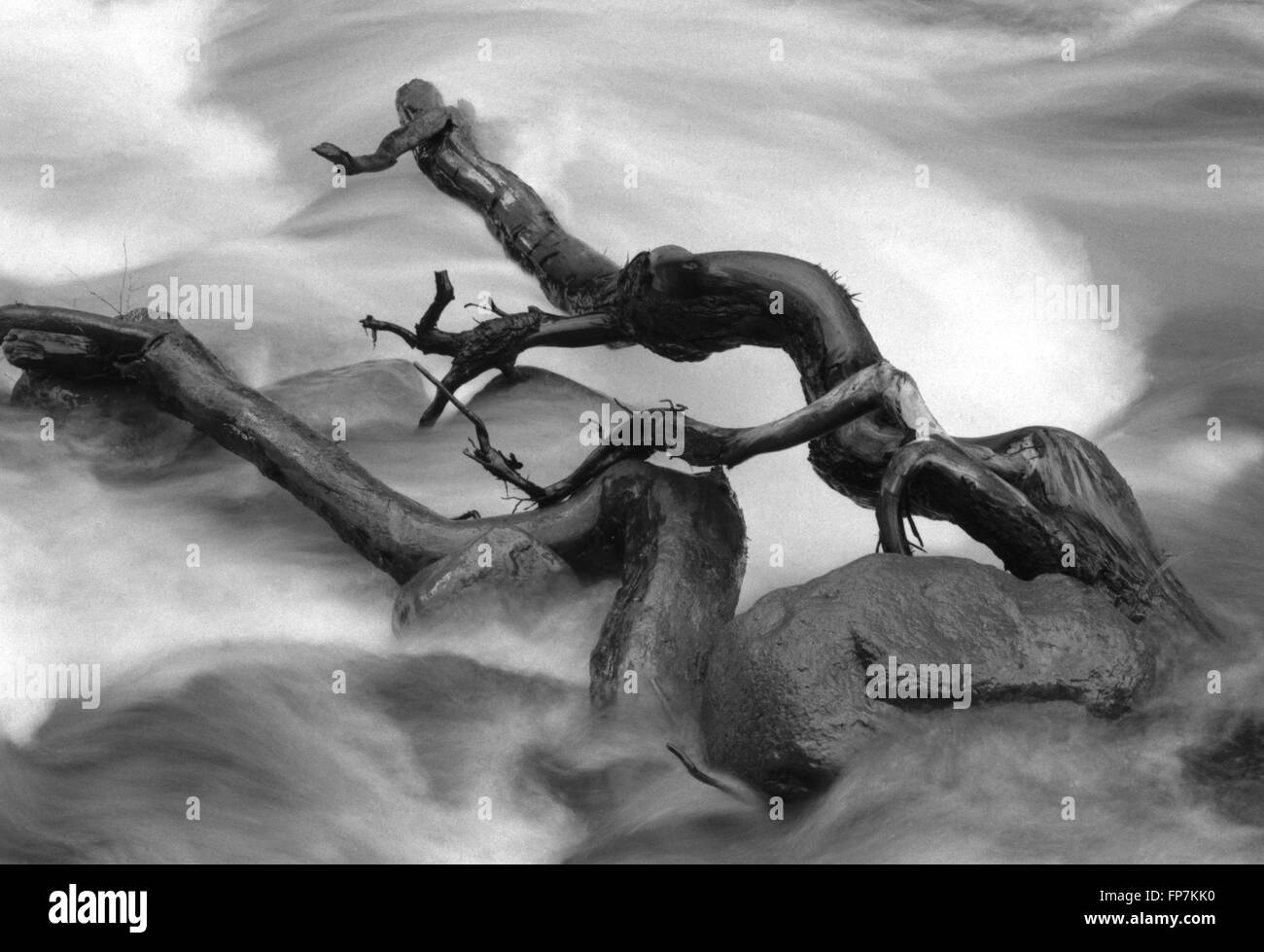 Human form in water Black and White Stock Photos & Images - Alamy