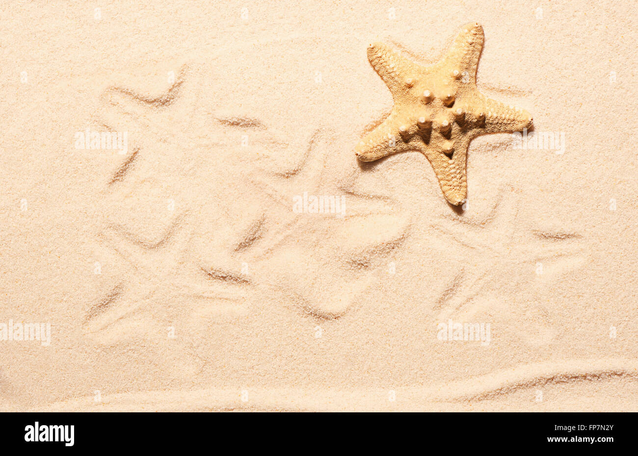 Starfish In Sand