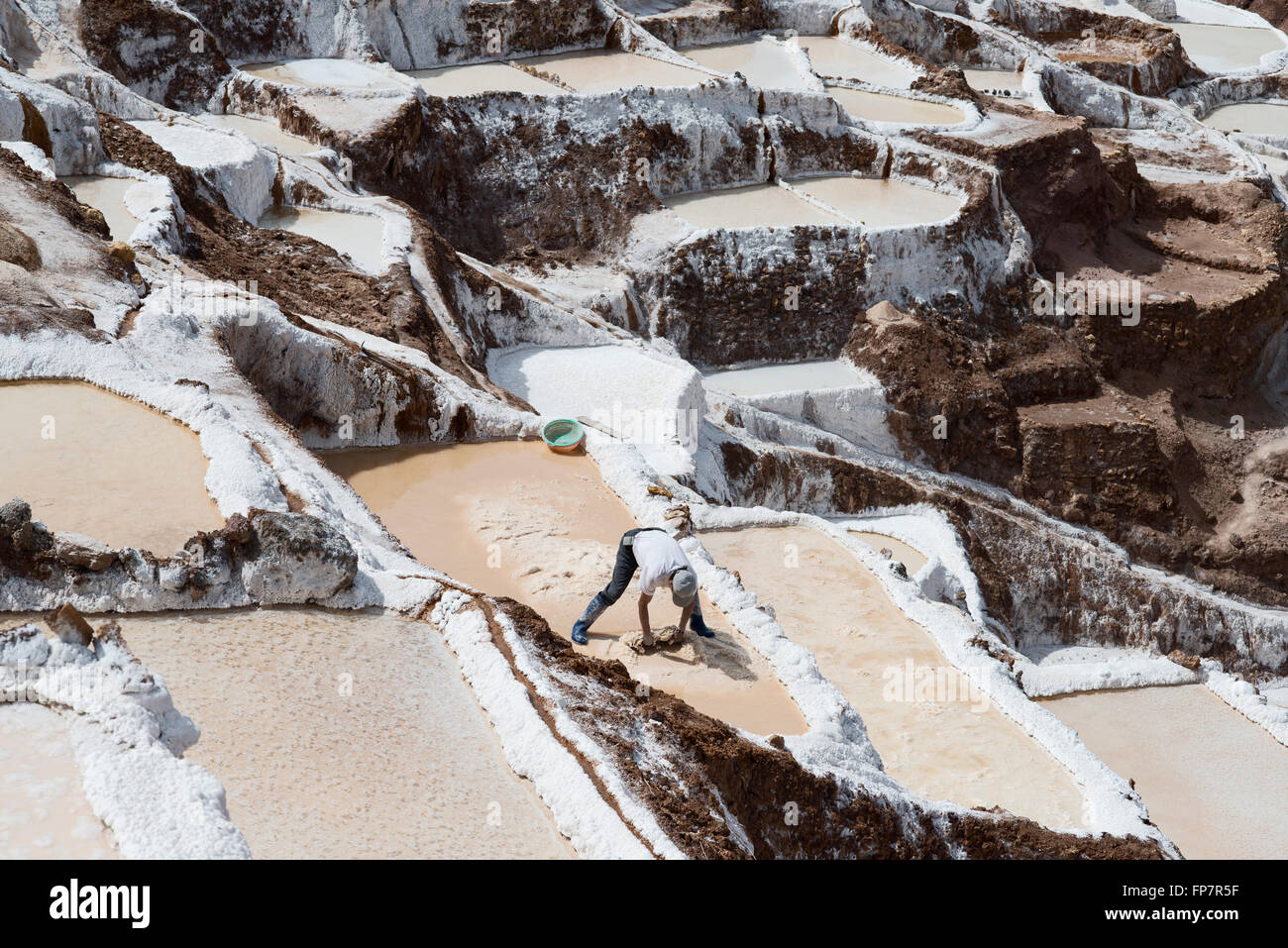 Worker collecting salt at The Maras salt ponds located at the Peru's ...