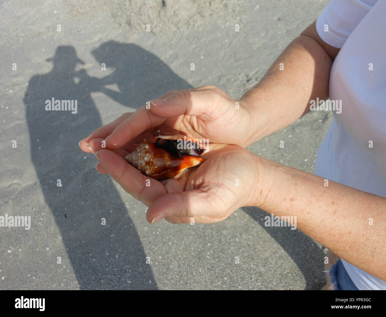 Animal life with human hi-res stock photography and images - Alamy