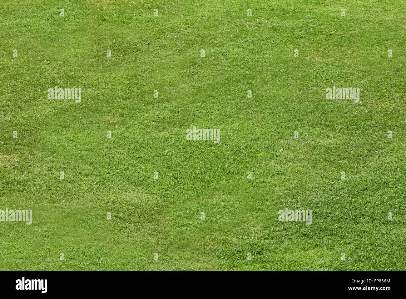 Garden games yard hi-res stock photography and images - Alamy