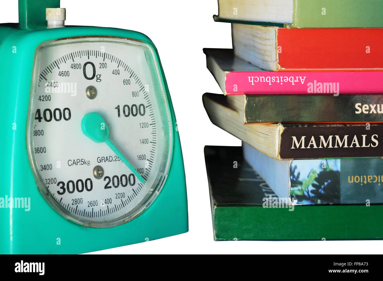 Importance of books hi-res stock photography and images - Alamy