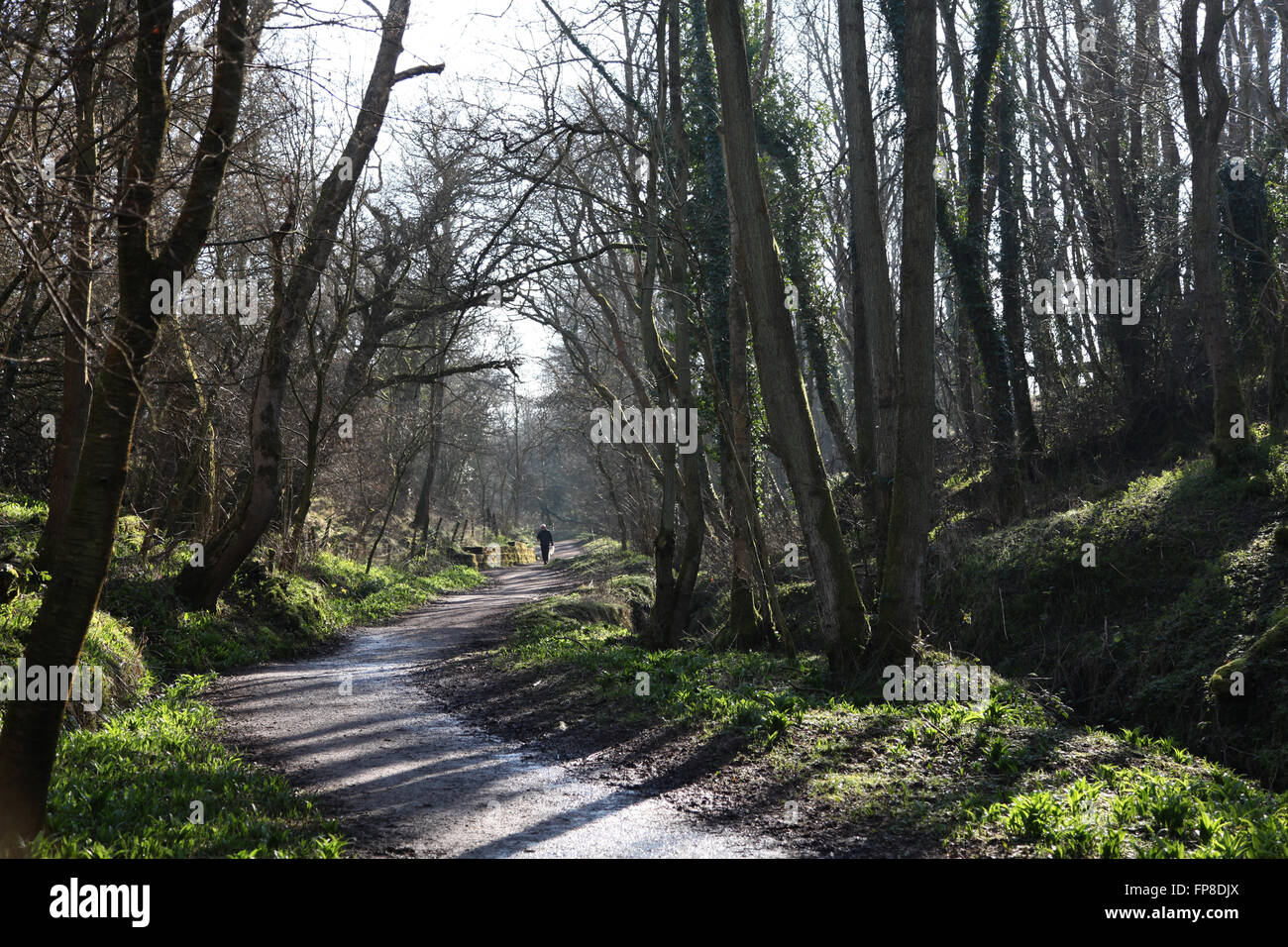 Rail Trail beck hole Goathland Stock Photo - Alamy