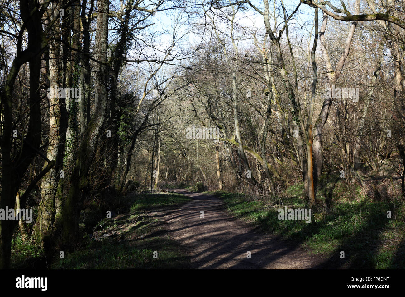 Rail Trail beck hole Goathland Stock Photo - Alamy