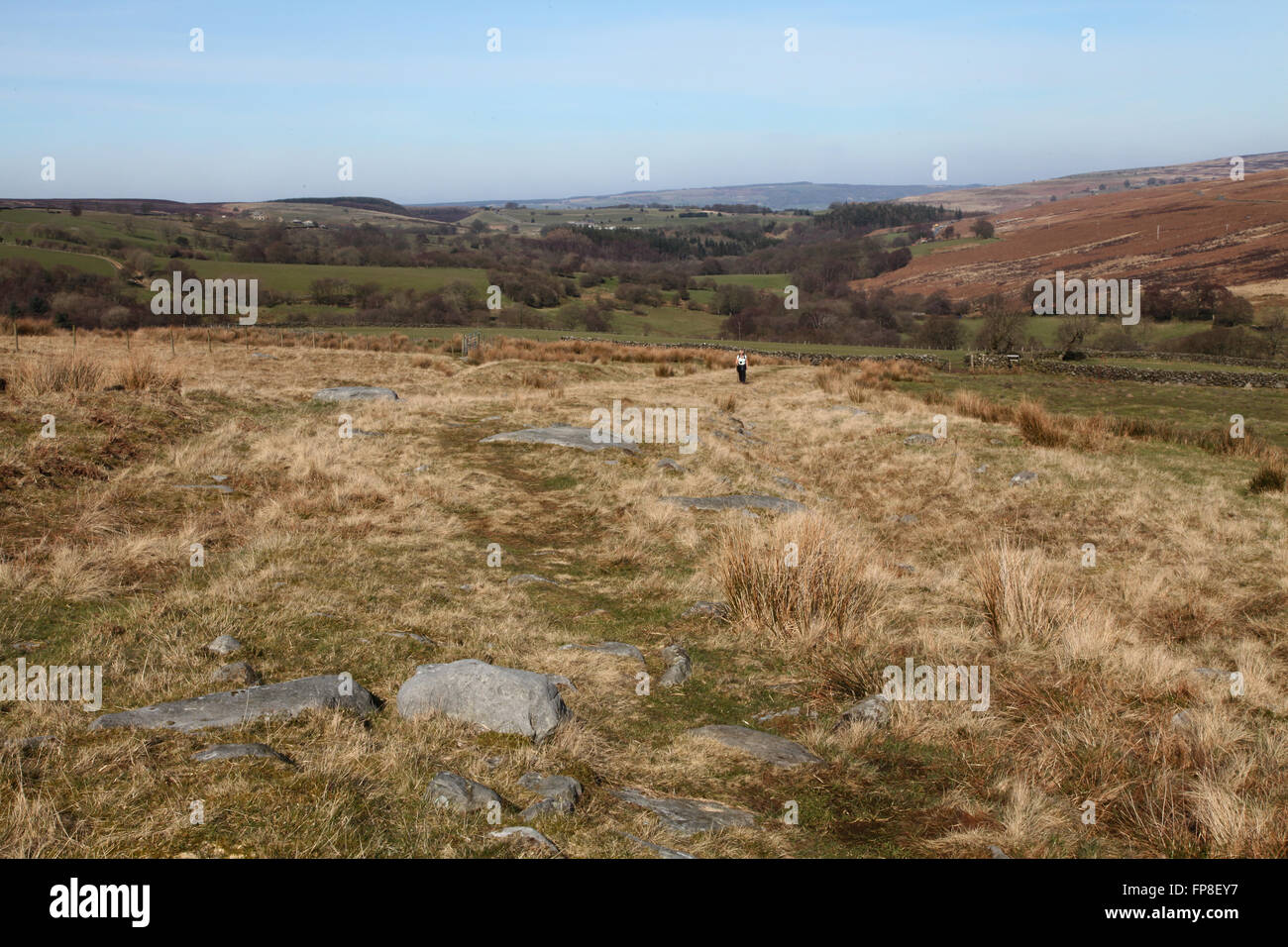 Roman road Wheeldale Moor, Goathland, North Yorkshire Stock Photo - Alamy