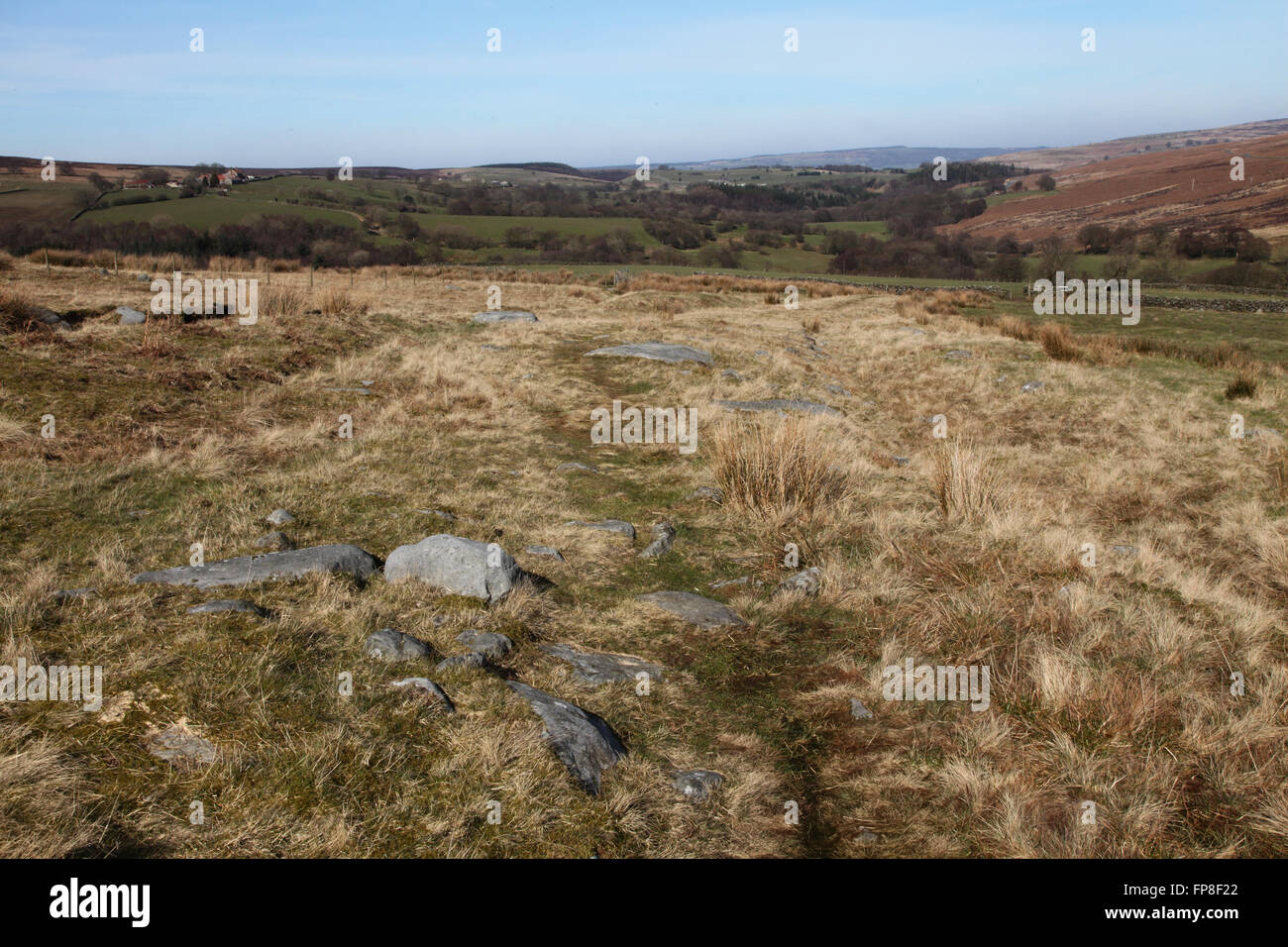 Roman road Wheeldale Moor, Goathland, North Yorkshire Stock Photo - Alamy