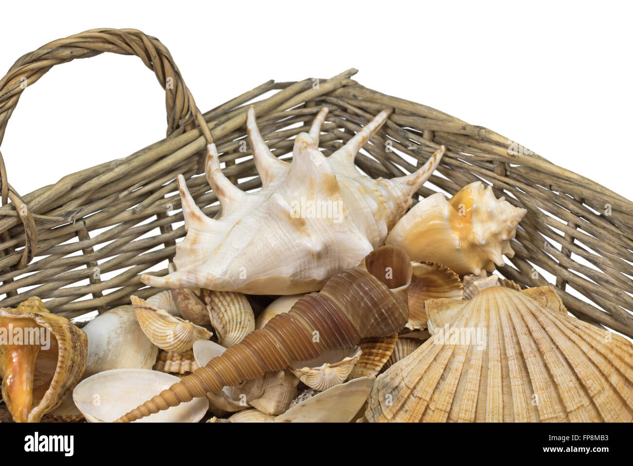 Different kinds of seashells are lying in the corner of a wicker baket ...