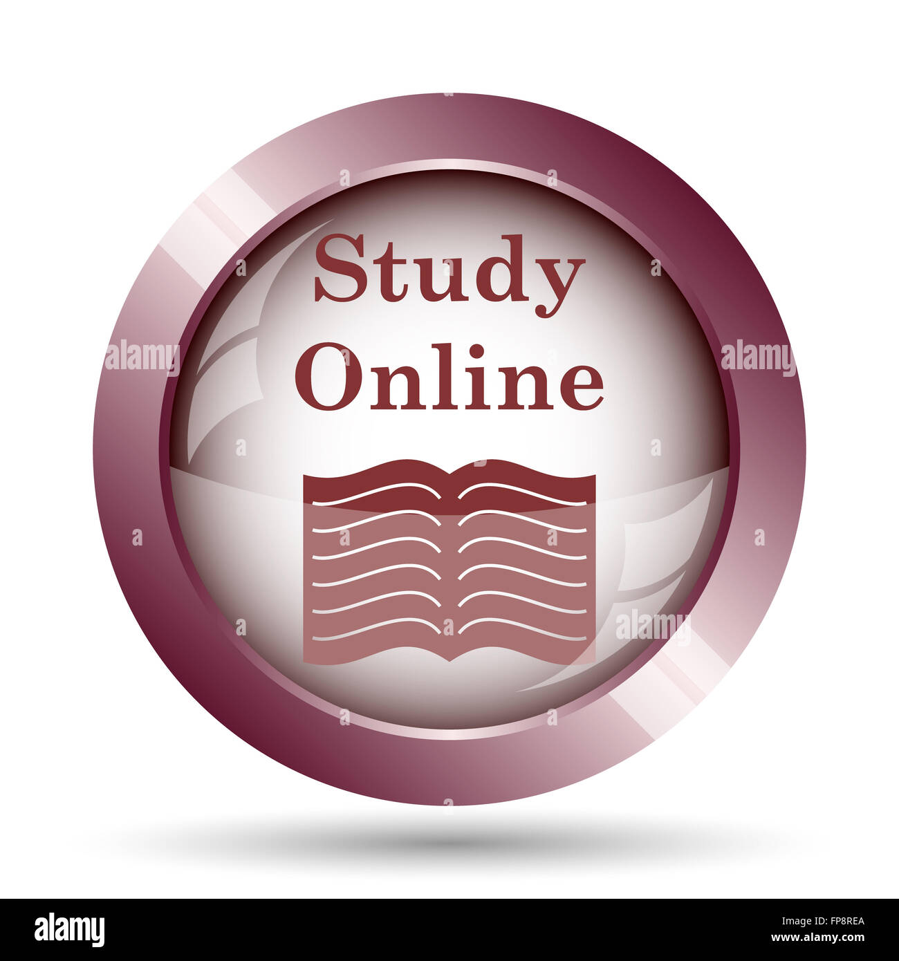 Study online icon. Internet button on white background Stock Photo - Alamy