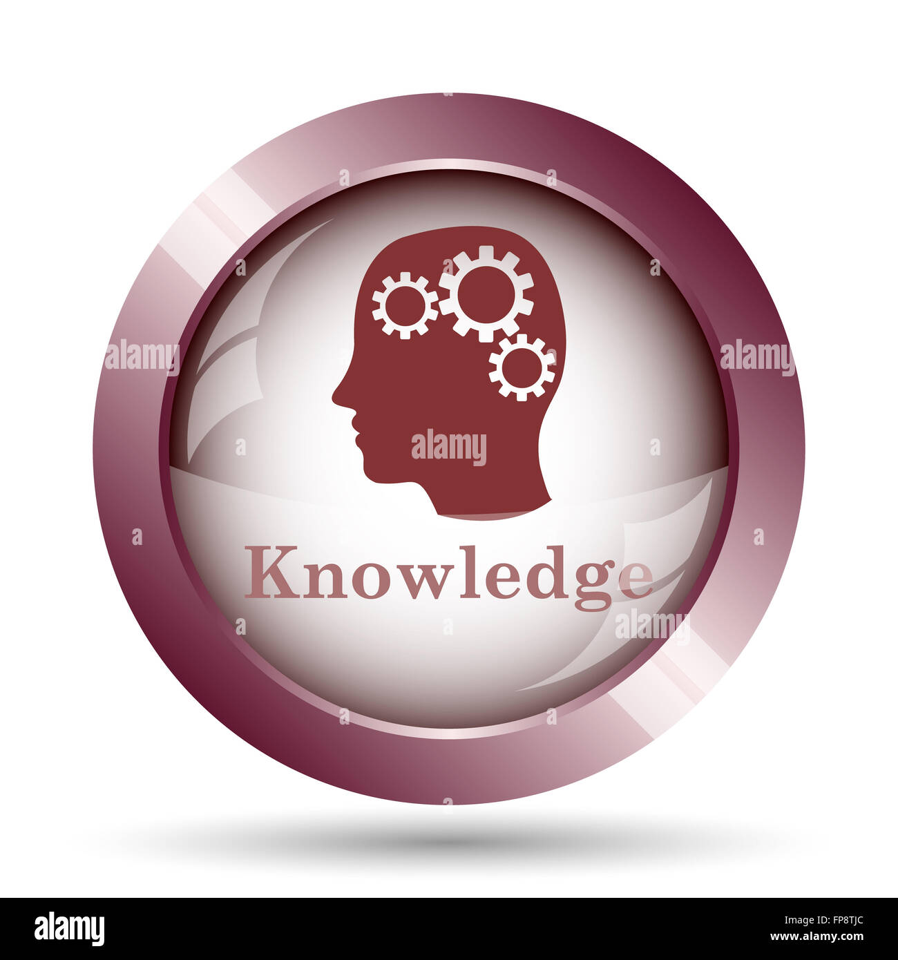 Knowledge icon. Internet button on white background Stock Photo - Alamy
