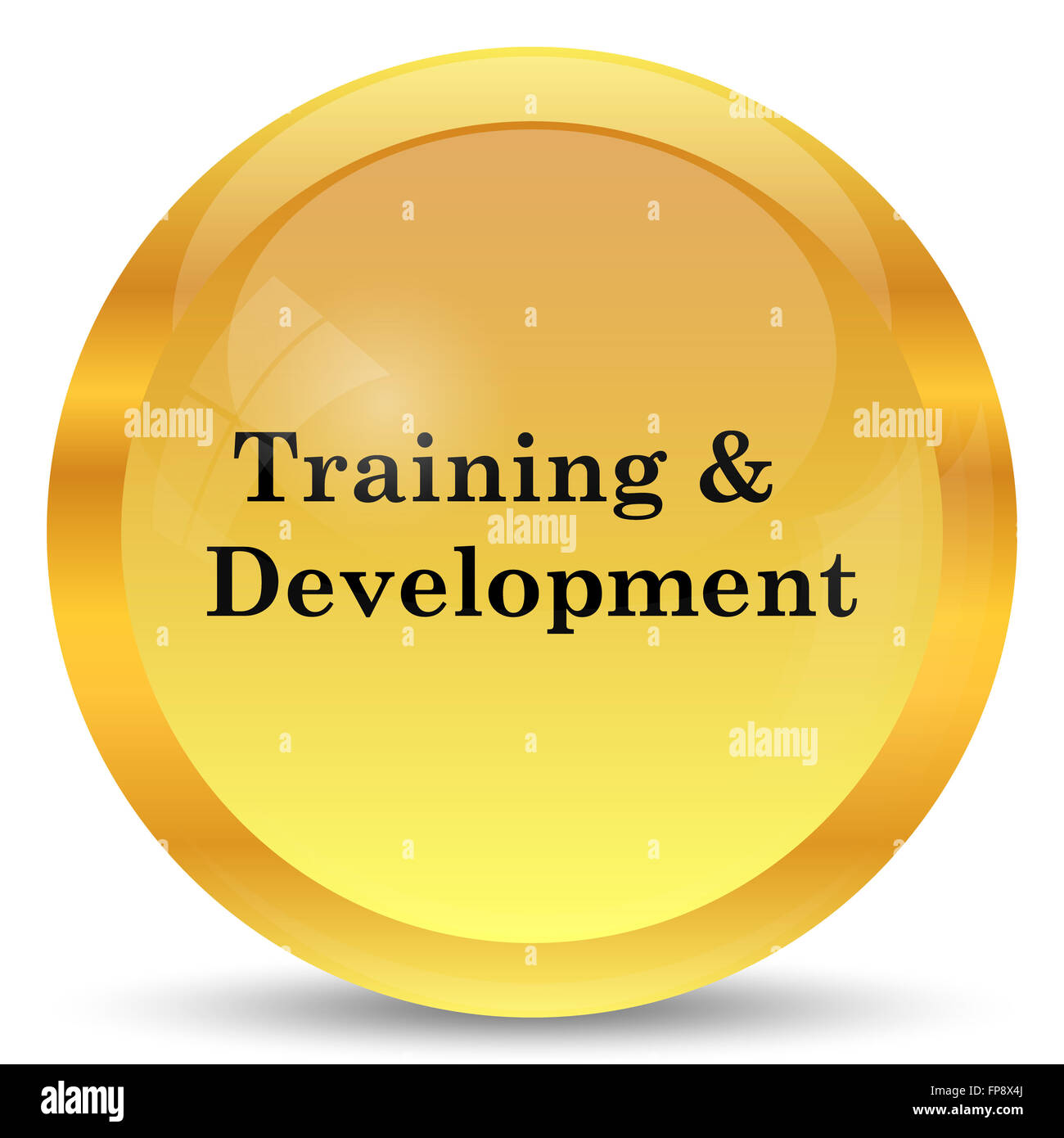Training and development icon. Internet button on white background ...