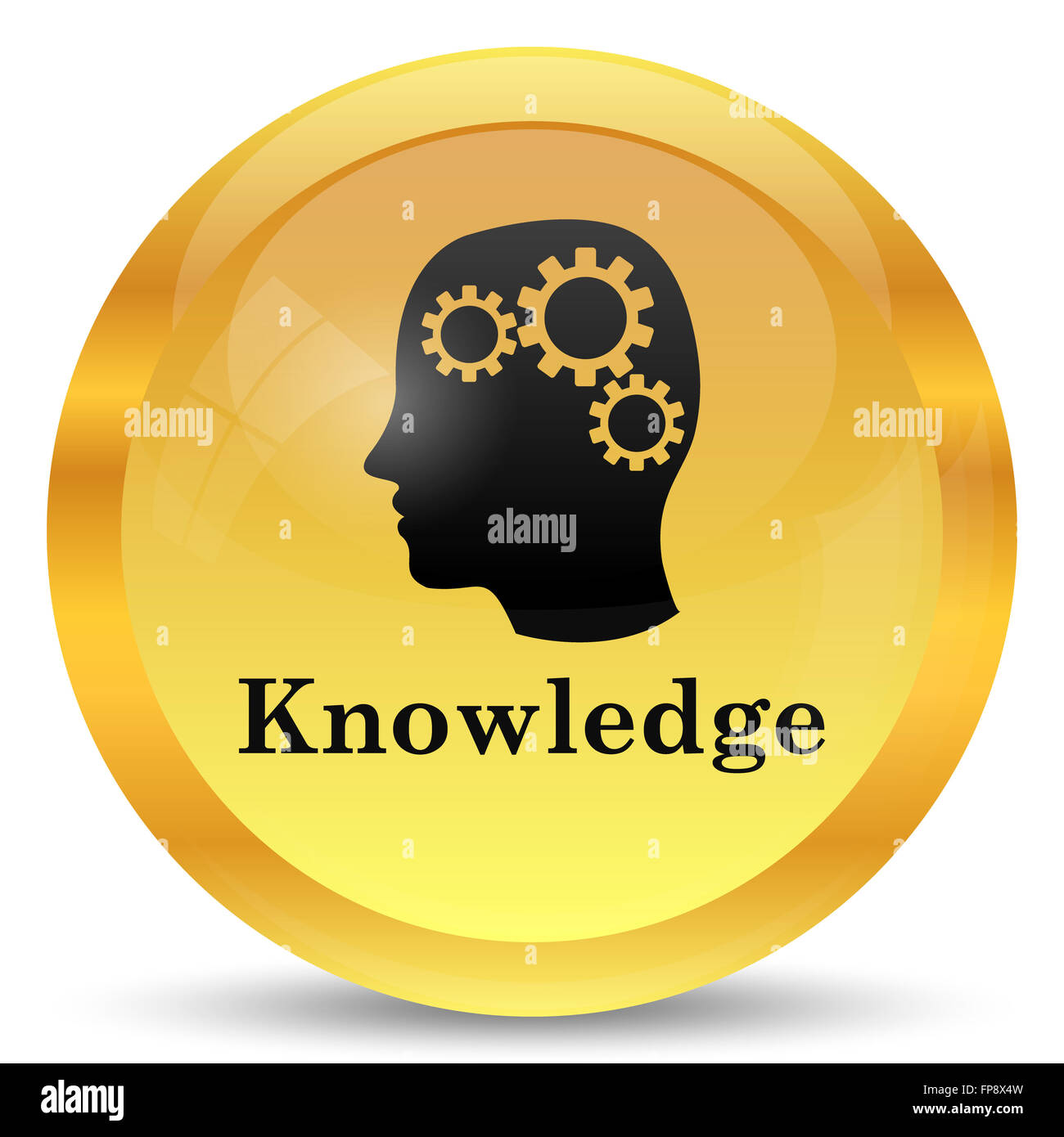 Knowledge icon. Internet button on white background Stock Photo - Alamy