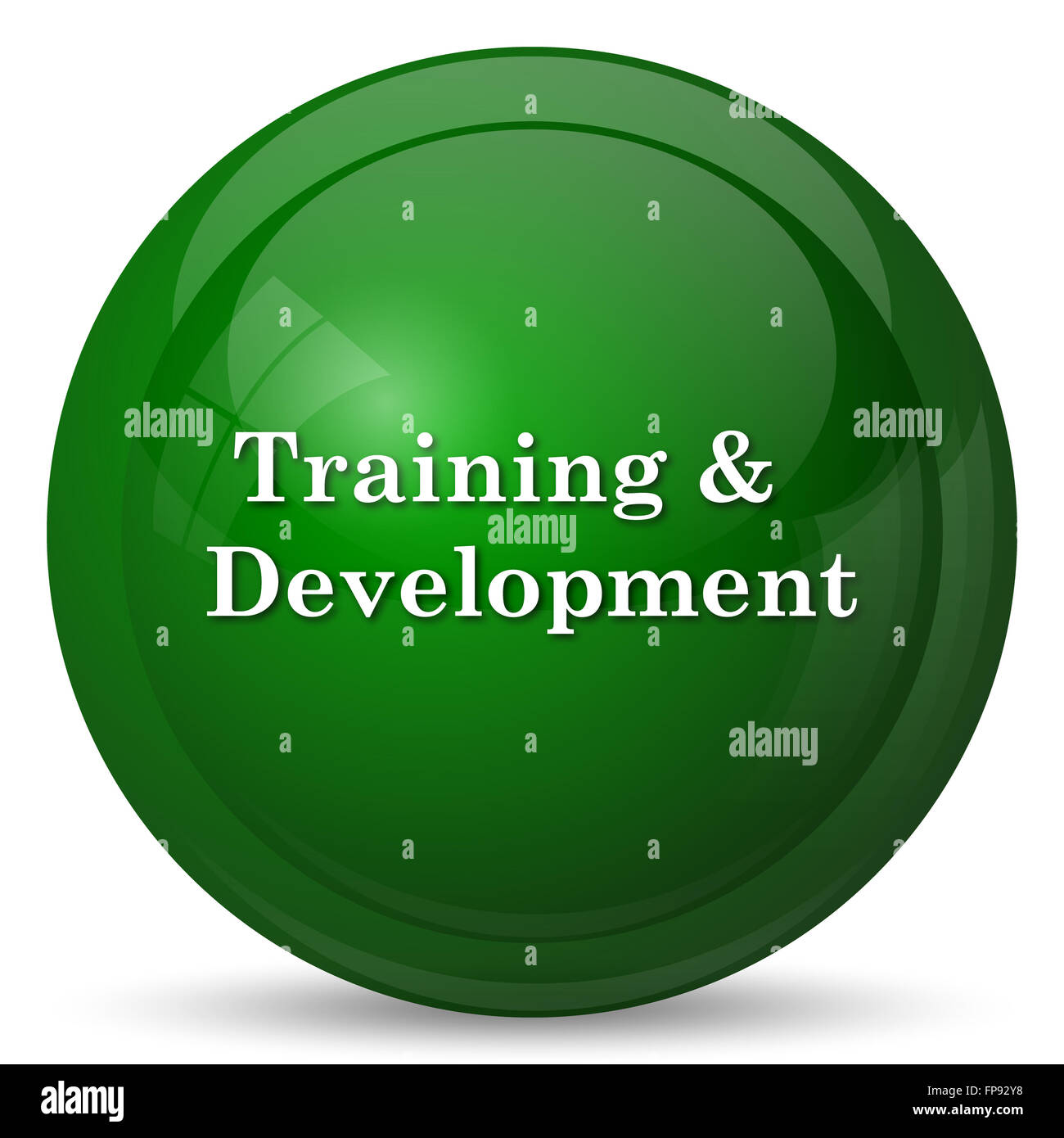 Training and development icon. Internet button on white background ...