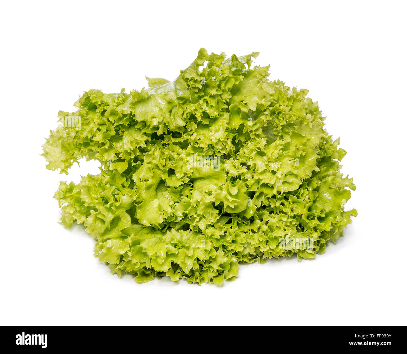 Bunch of lettuce in water drops Stock Photo - Alamy