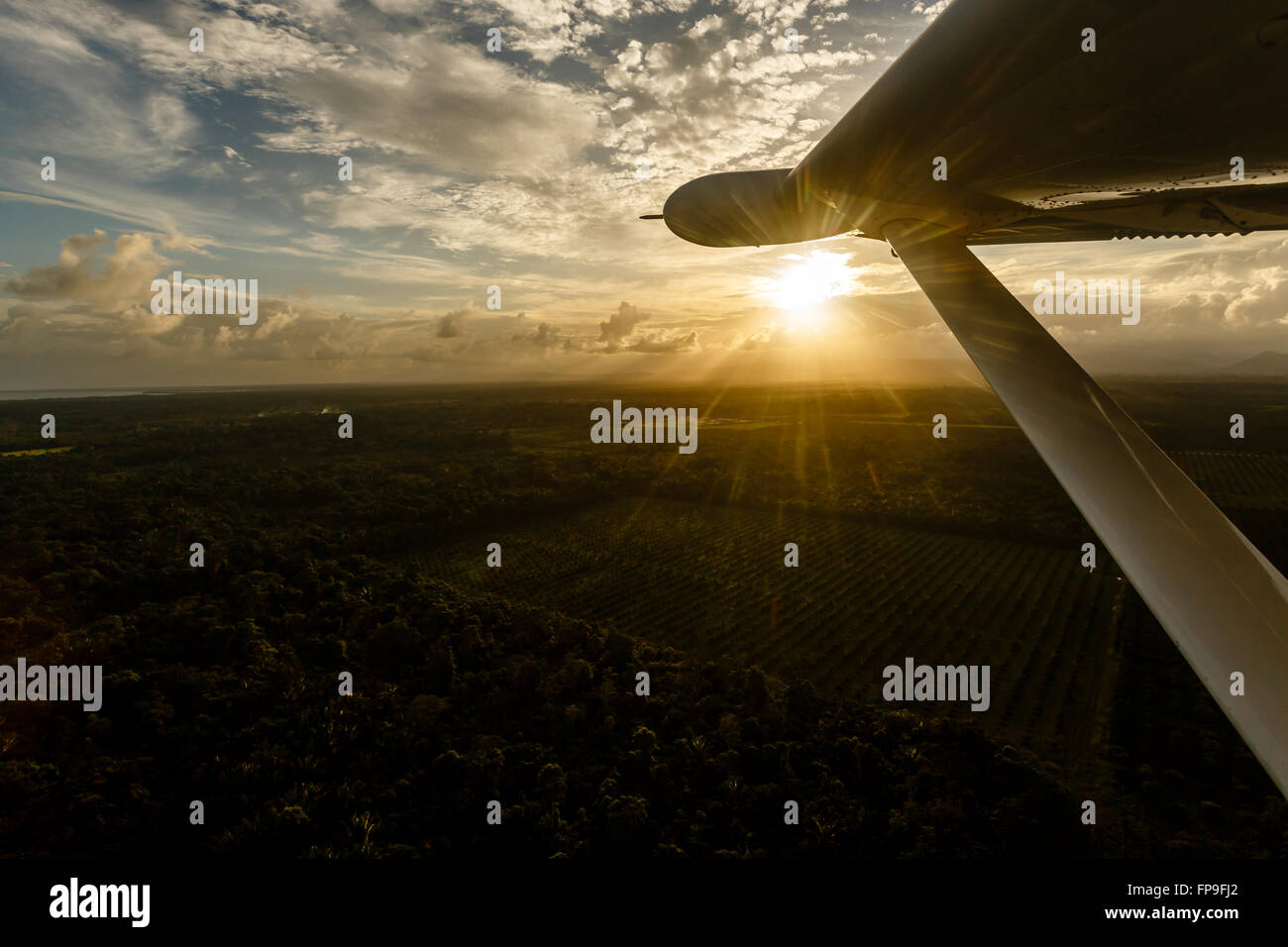 Aerial view of Sunset flying over the fields of Belize Stock Photo - Alamy