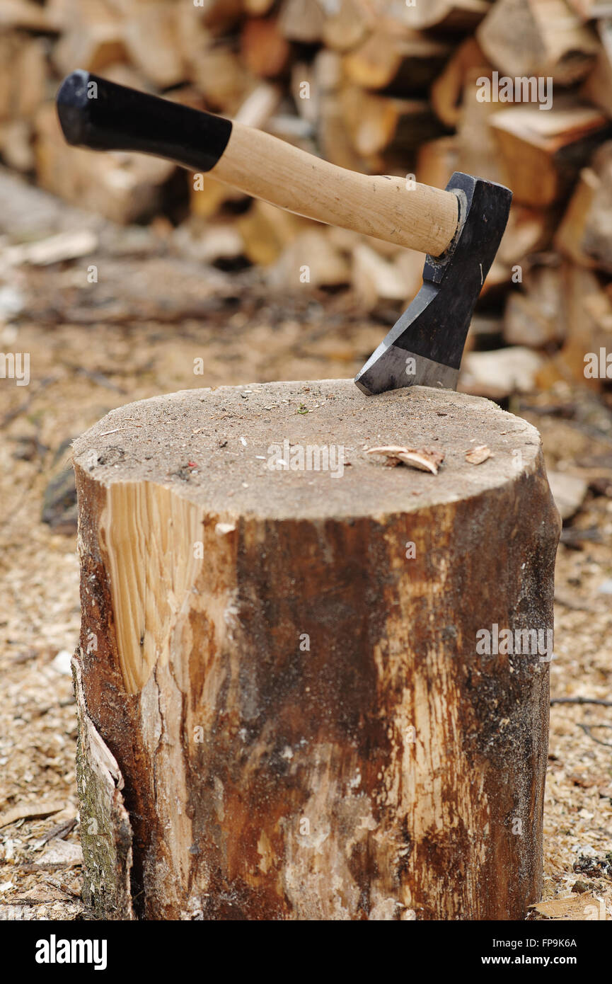 Woodcutter cut tree hi-res stock photography and images - Alamy