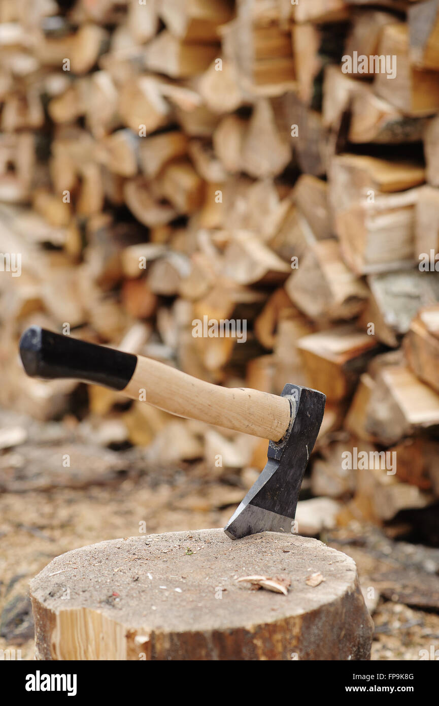 Woodcutter cut tree hi-res stock photography and images - Alamy