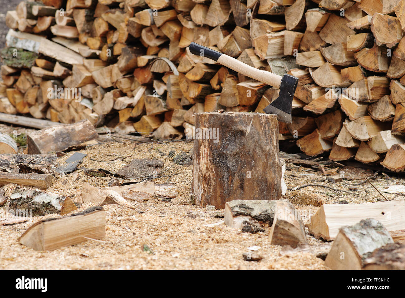 Woodcutter cut tree hi-res stock photography and images - Alamy