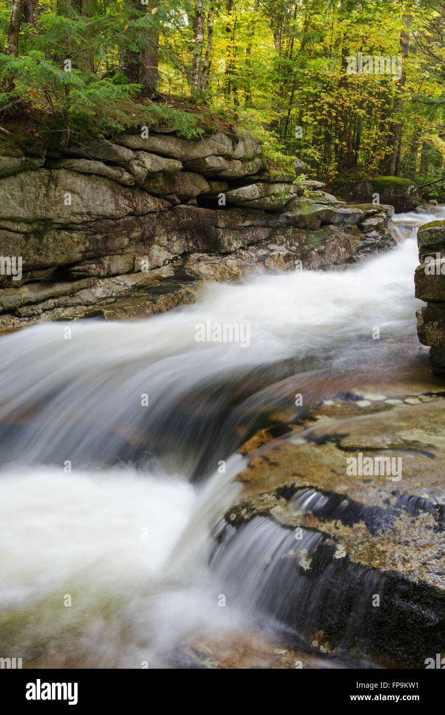 Cascade along the South Branch of the Gale River in the New Hampshire ...