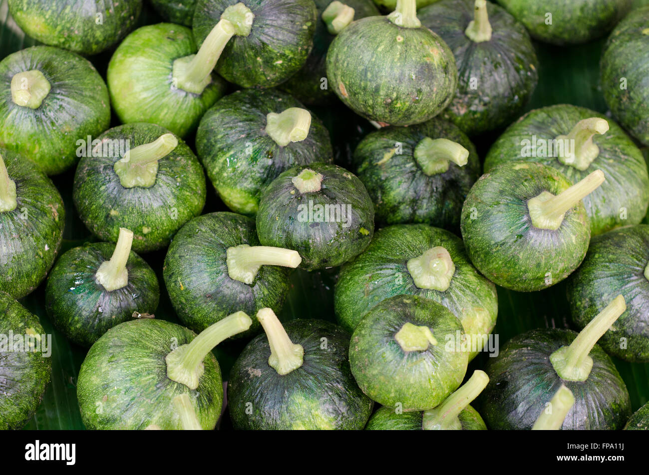 Winter holiday pumpkins hi-res stock photography and images - Alamy