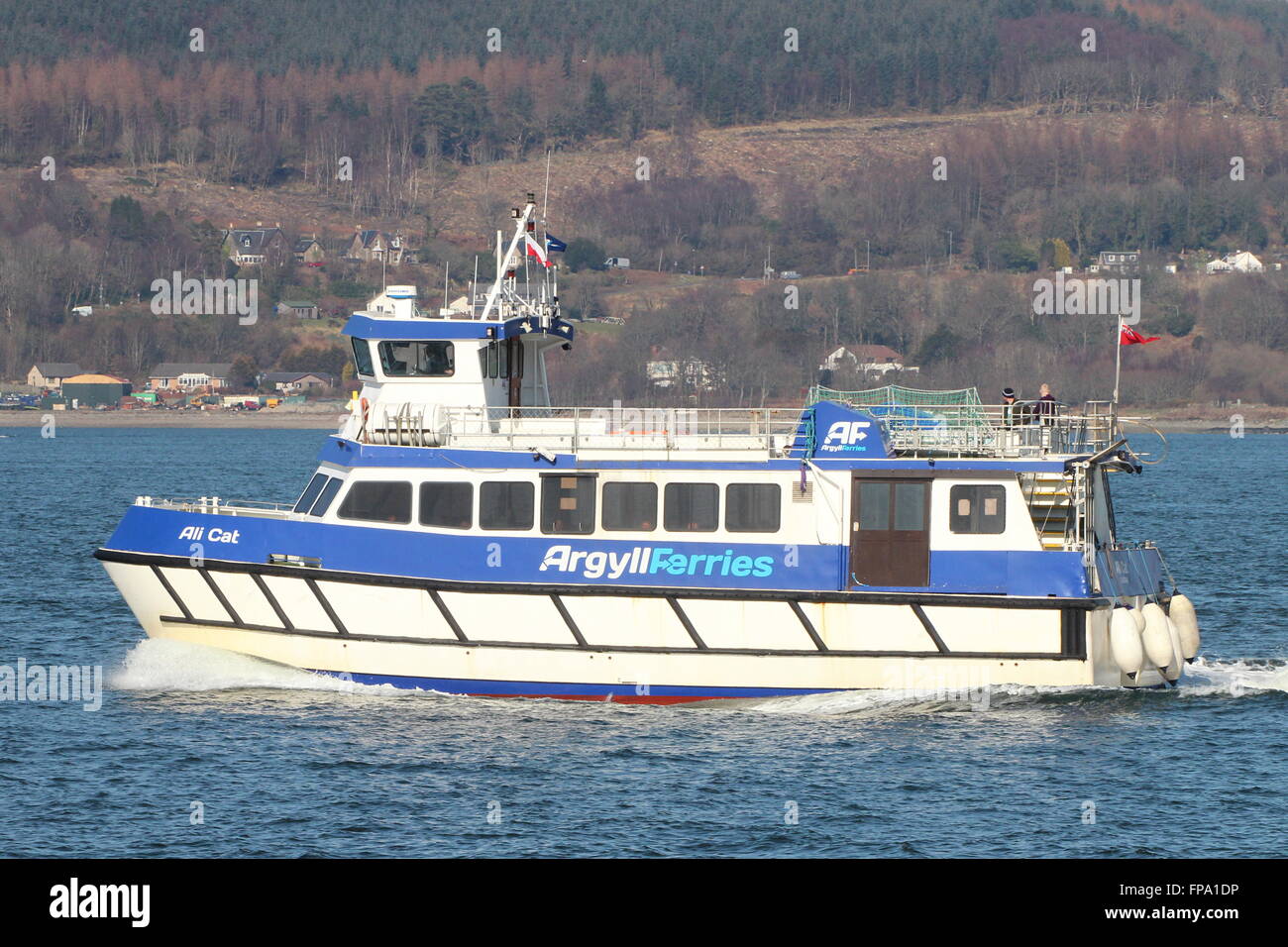 The Argyll Ferries passenger ferry Ali Cat, off Gourock on the Firth of ...