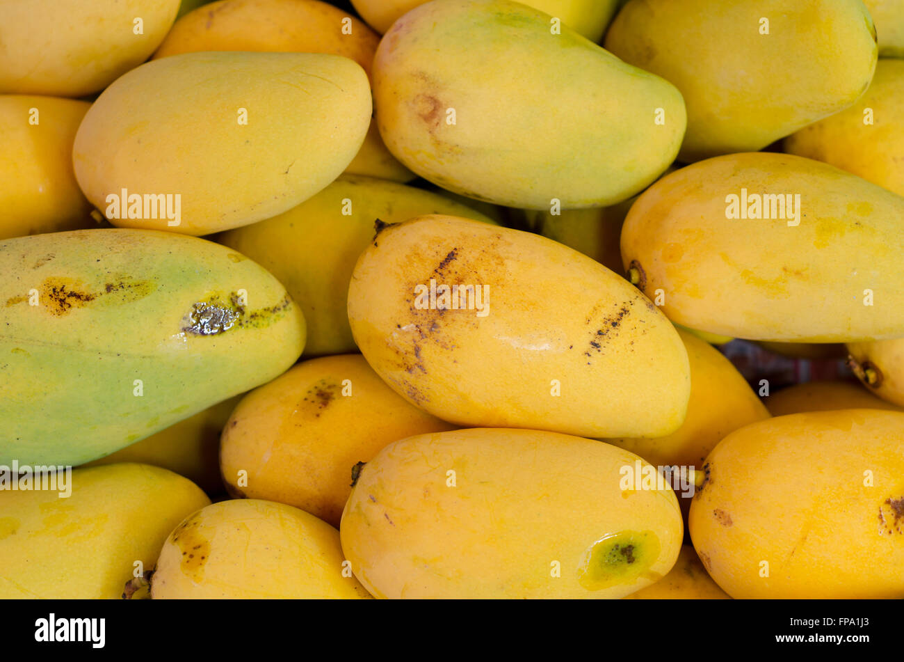 Brown ivory fruit hi-res stock photography and images - Alamy