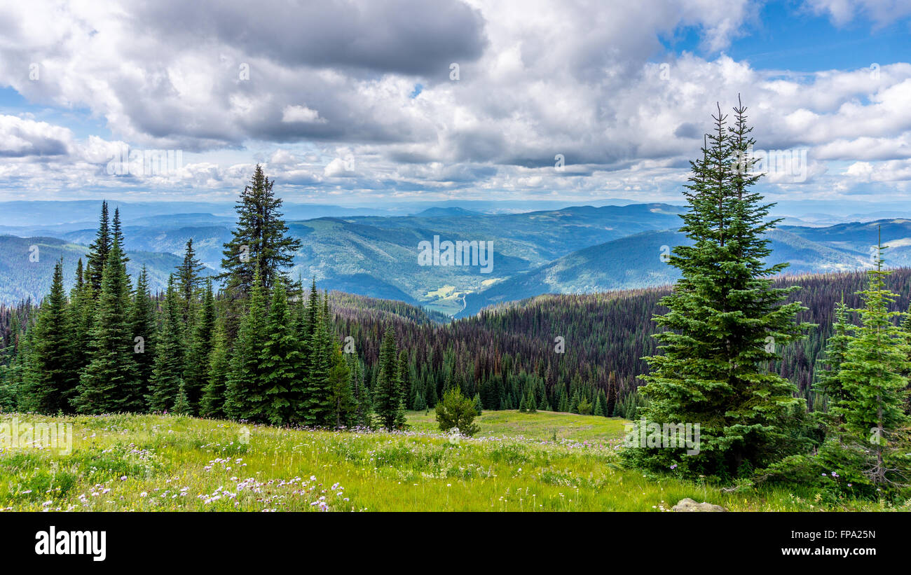 Hiking through high alpine meadows of Tod Mountain in the Shuswap ...