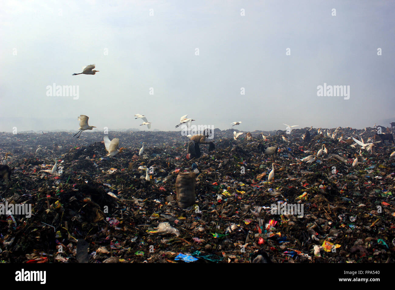 Million tons of garbage hi-res stock photography and images - Alamy