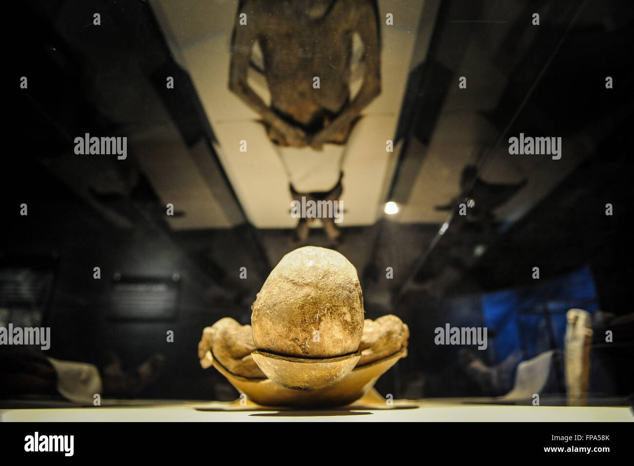 Animal mummies hi-res stock photography and images - Alamy