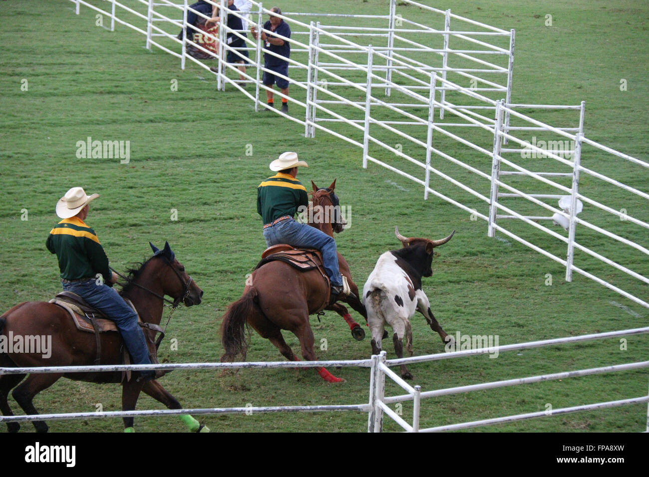 Sydney, Australia. 18 March 2016. Pictured: Rodeo at Spotless Stadium ...