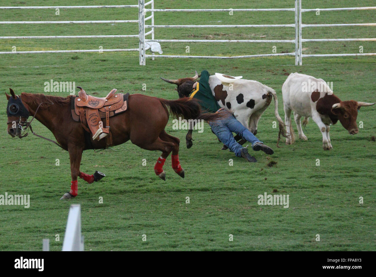Sydney, Australia. 18 March 2016. Pictured: Rodeo at Spotless Stadium ...