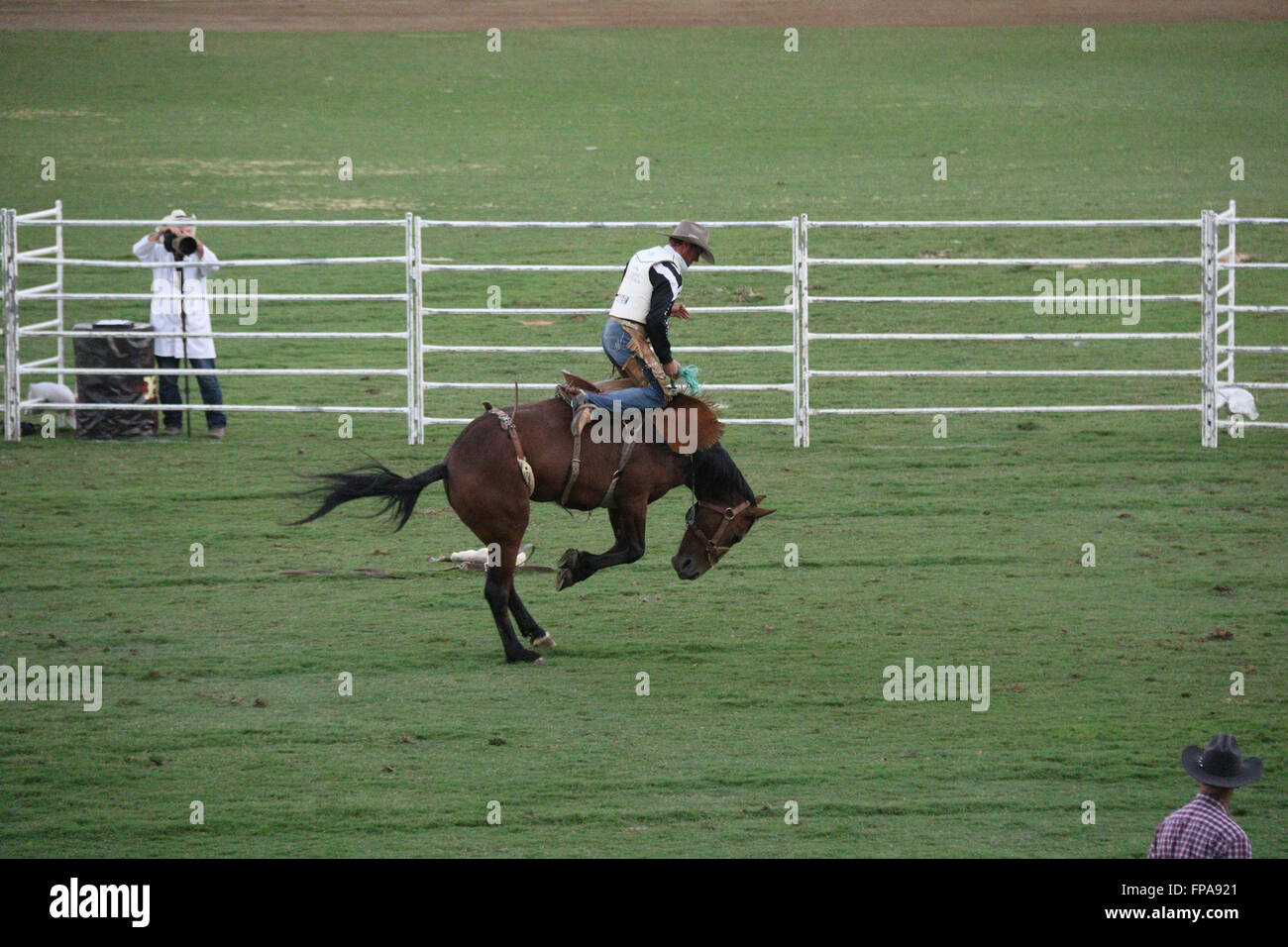 Sydney, Australia. 18 March 2016. Pictured: Rodeo at Spotless Stadium ...