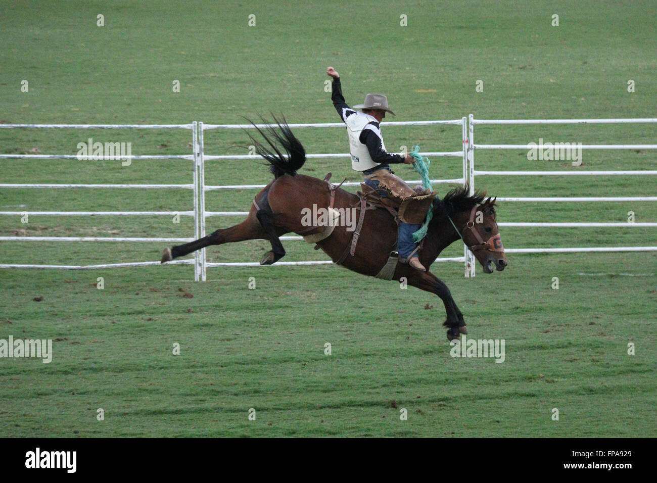 Sydney, Australia. 18 March 2016. Pictured: Rodeo at Spotless Stadium ...