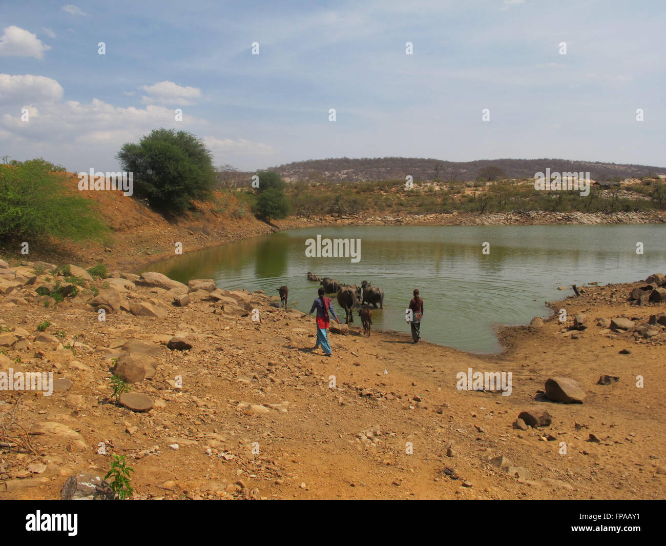 Meena tribe hi-res stock photography and images - Alamy