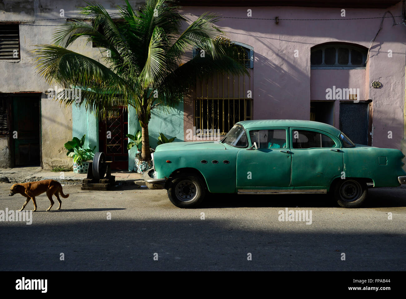 Havana, Cuba. 17th Mar, 2016. A stray dog and iconic classic car in ...