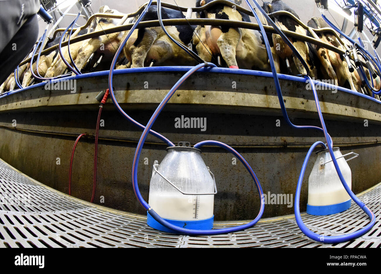 3 alamy milk hi-res stock photography and images - Alamy
