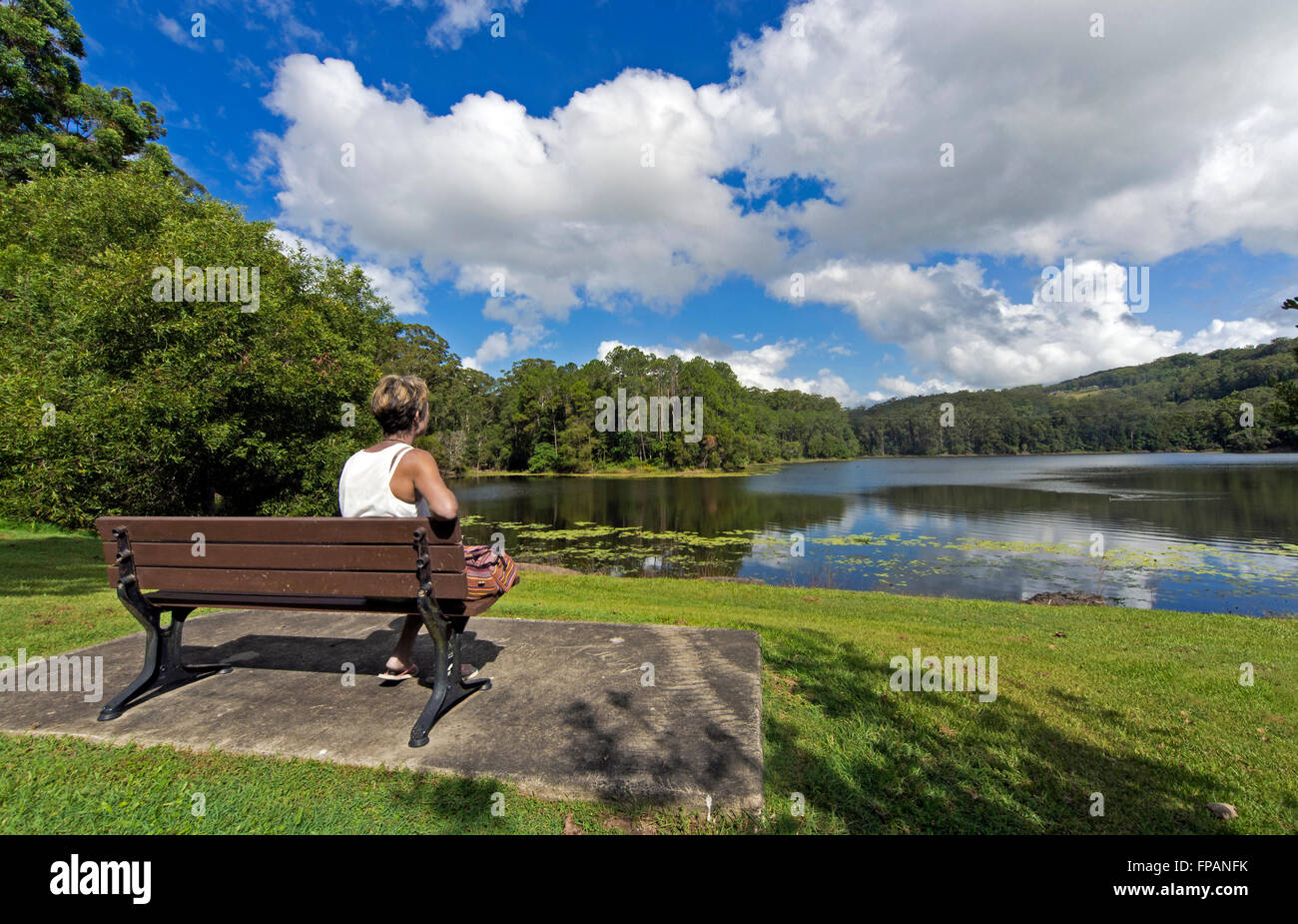 Bench overlooking lake hi-res stock photography and images - Alamy