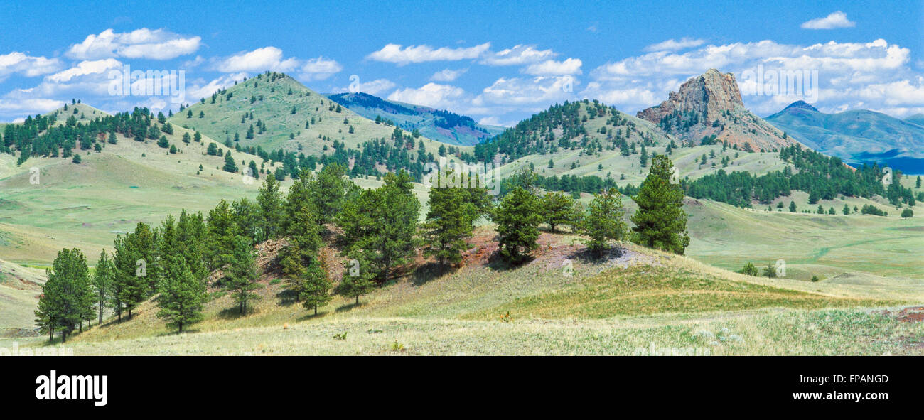 Bearpaw mountains hi-res stock photography and images - Alamy