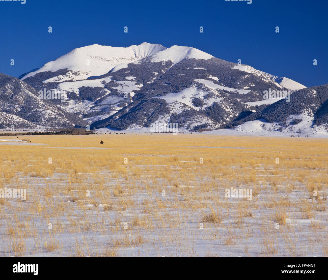 Ennis montana hi-res stock photography and images - Alamy