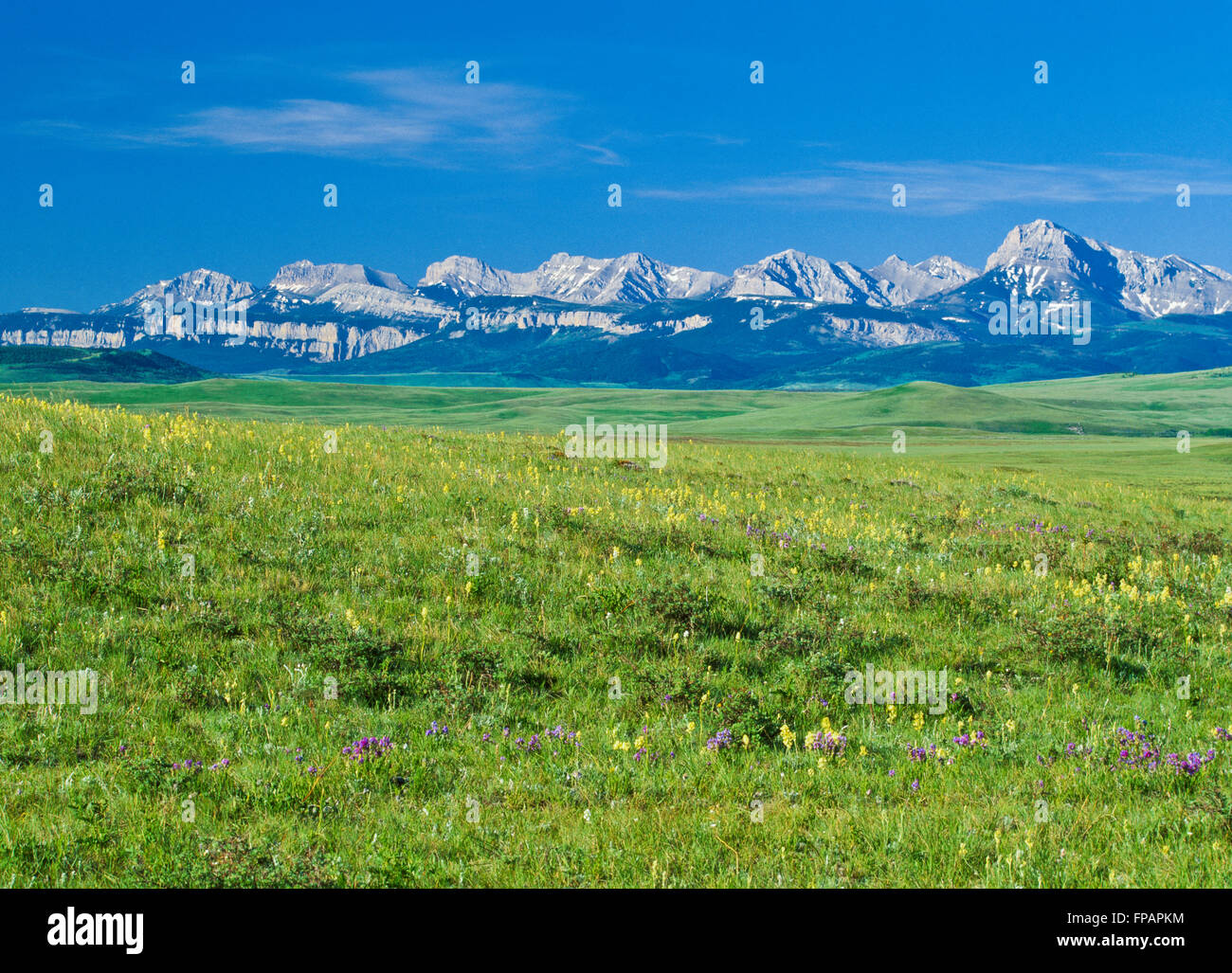 Expansive prairie hi-res stock photography and images - Alamy