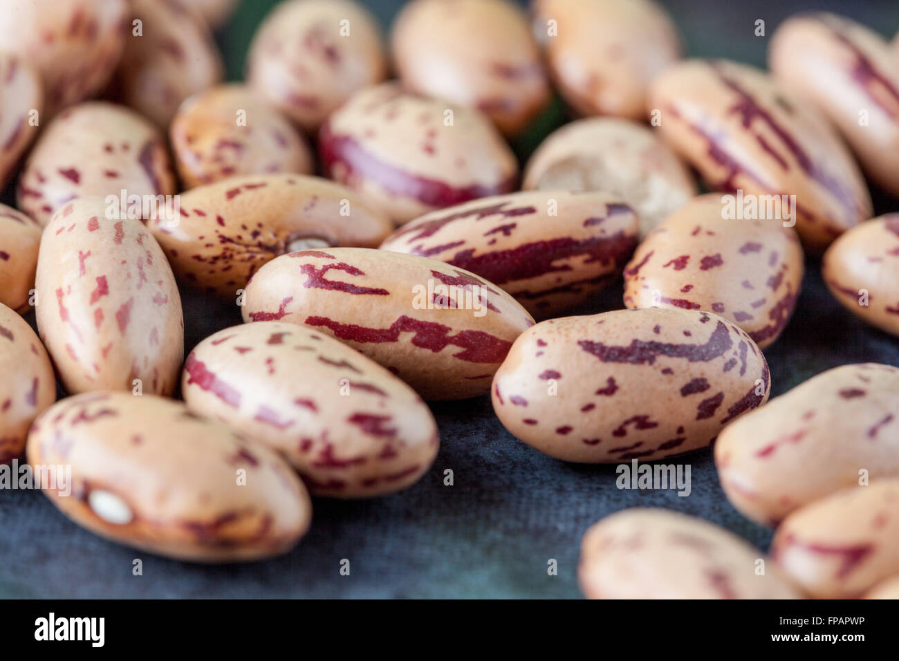 Heirloom beans extreme closeup. Shallow depth of field Stock Photo - Alamy