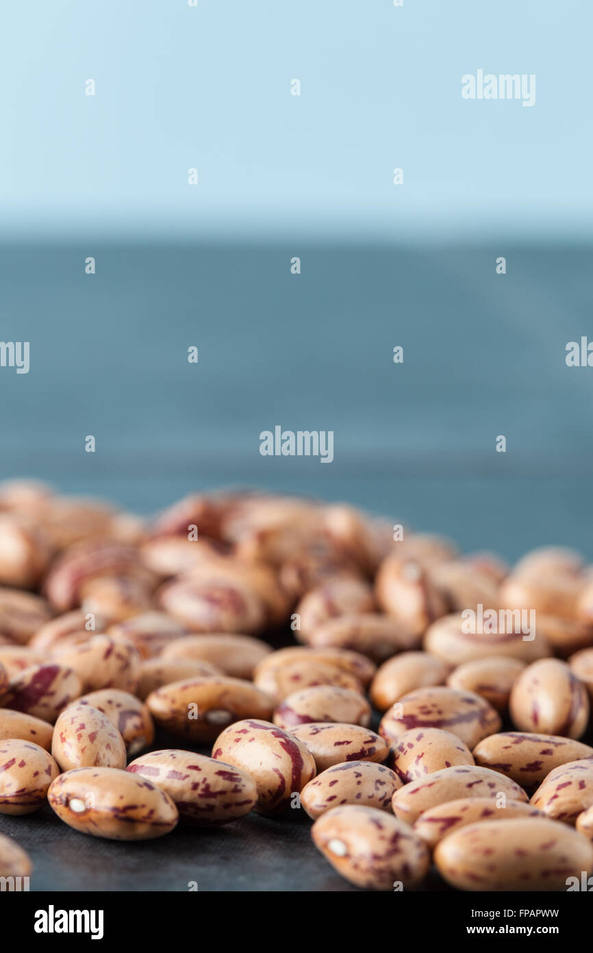 Heirloom beans extreme closeup with copy space. Shallow depth of field ...