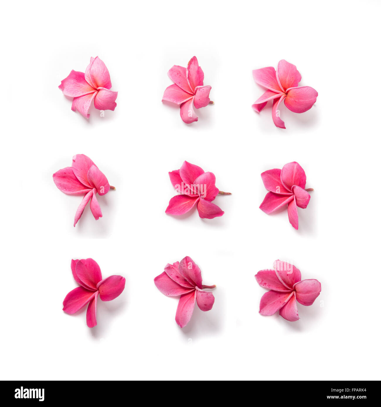 Frangipani spa Cut Out Stock Images & Pictures - Alamy