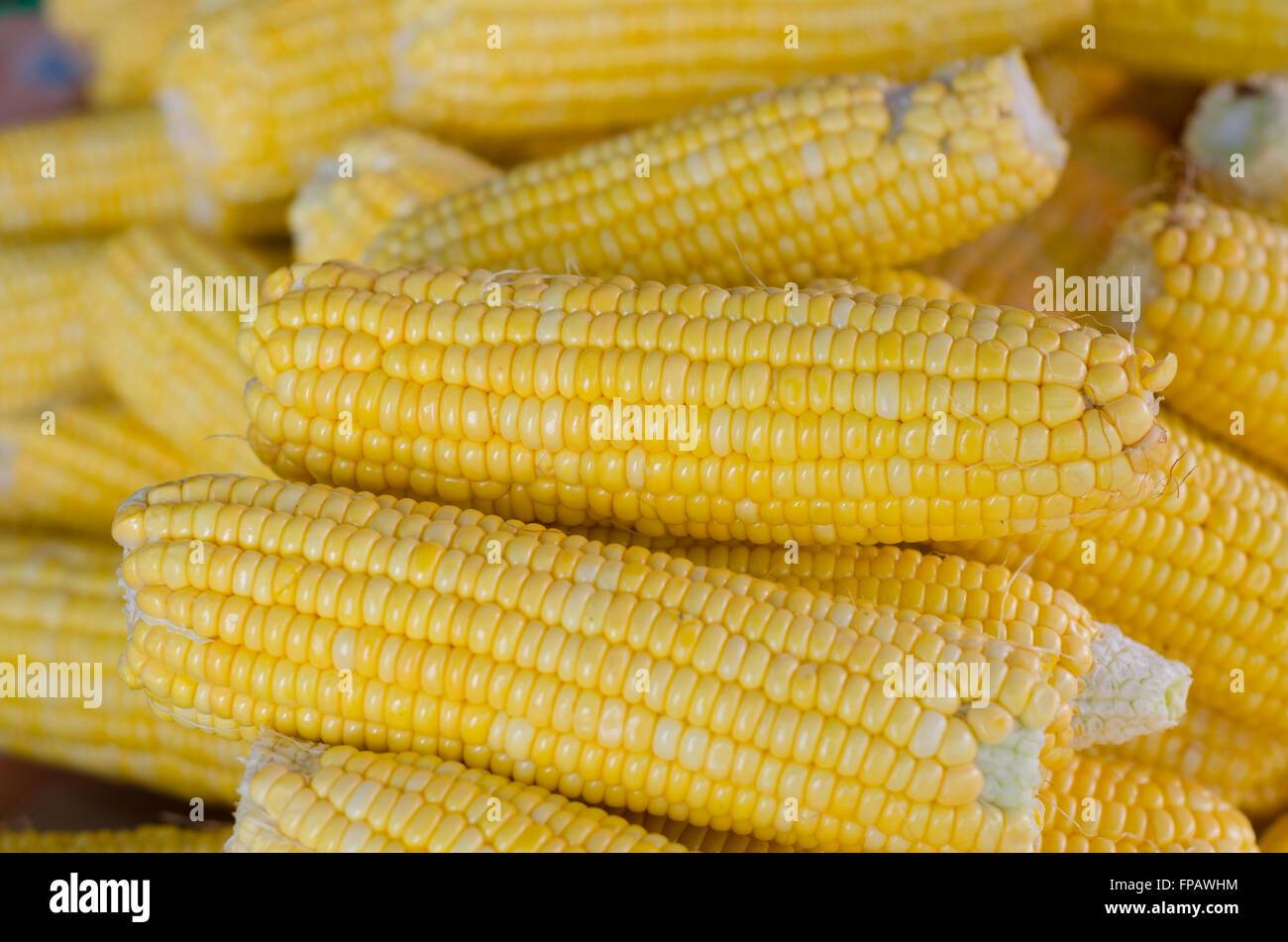 Ripe flour hi-res stock photography and images - Alamy