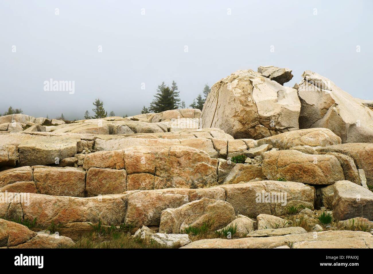 Light yellow boulders with treetops in the fog on the background Stock ...