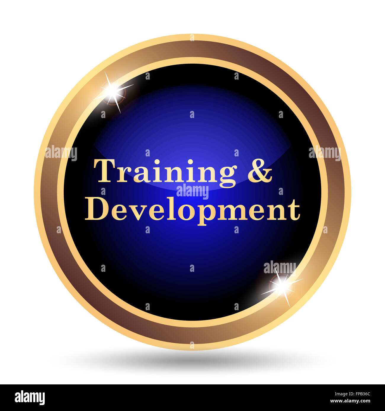 Training and development icon. Internet button on white background ...